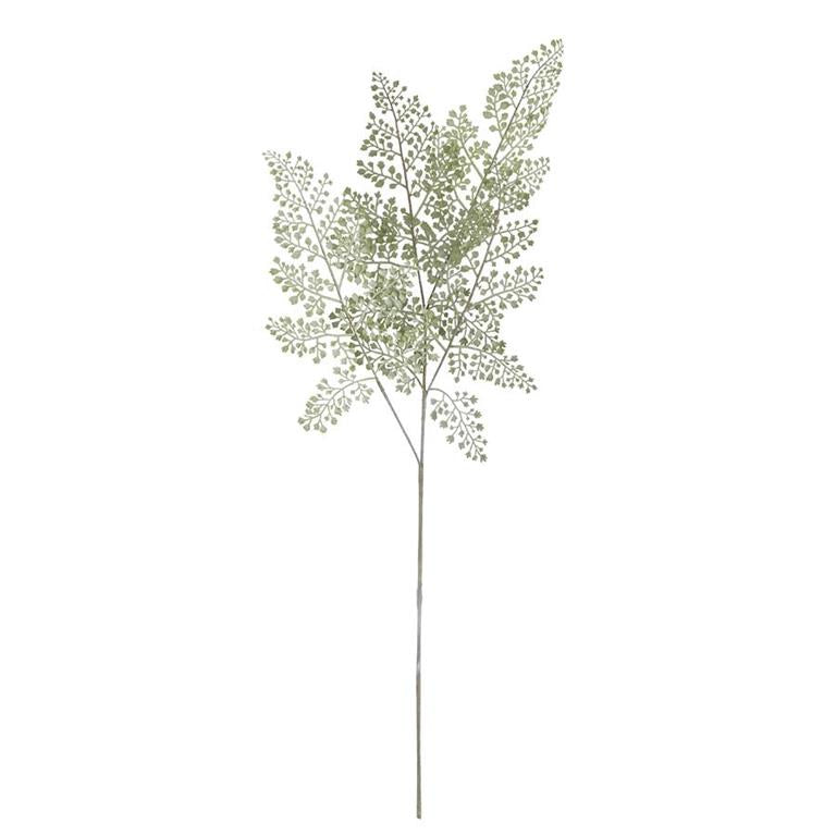 Real Touch Adiantum Fern Stem – The French Cottage