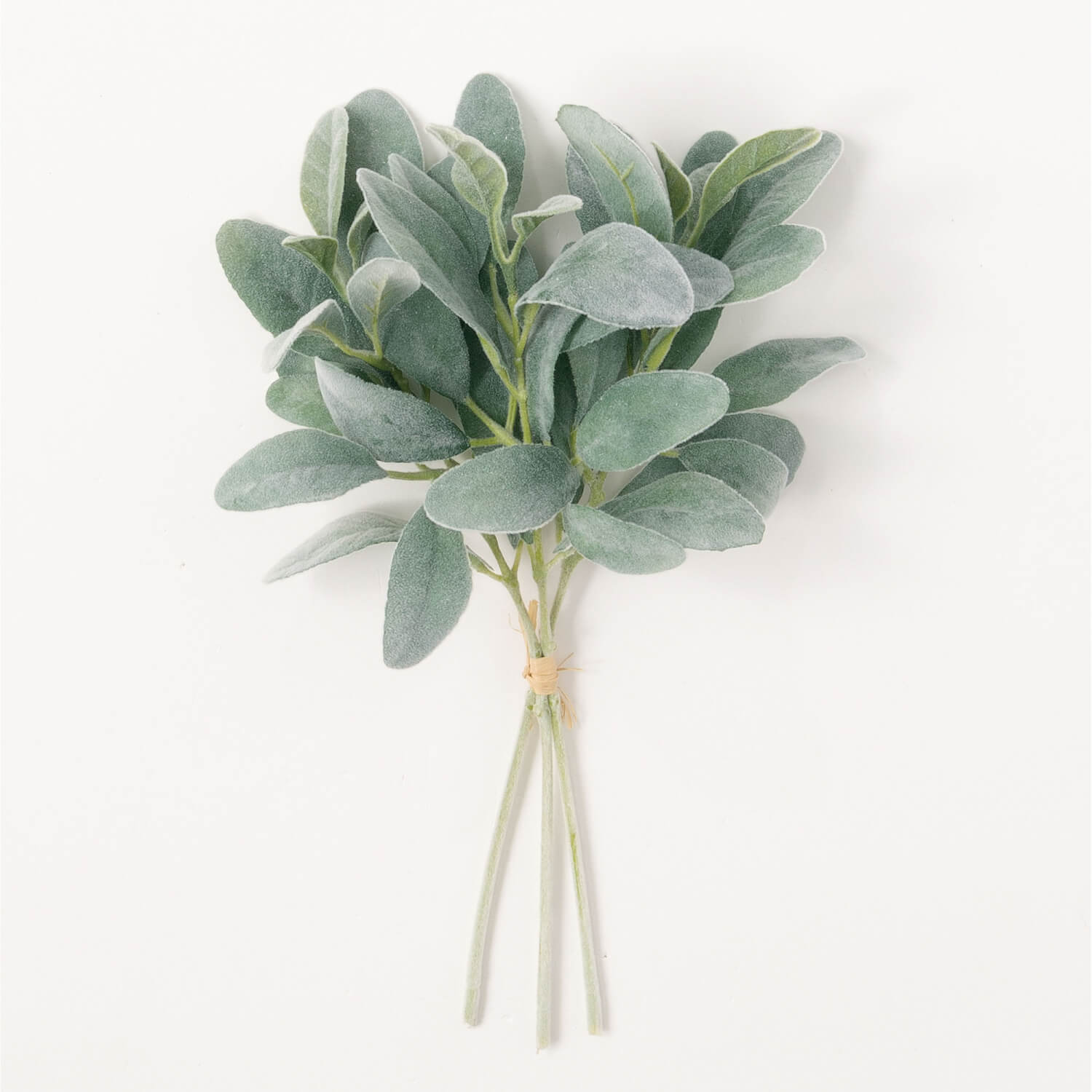 Lambs Ear Bundle – The French Cottage