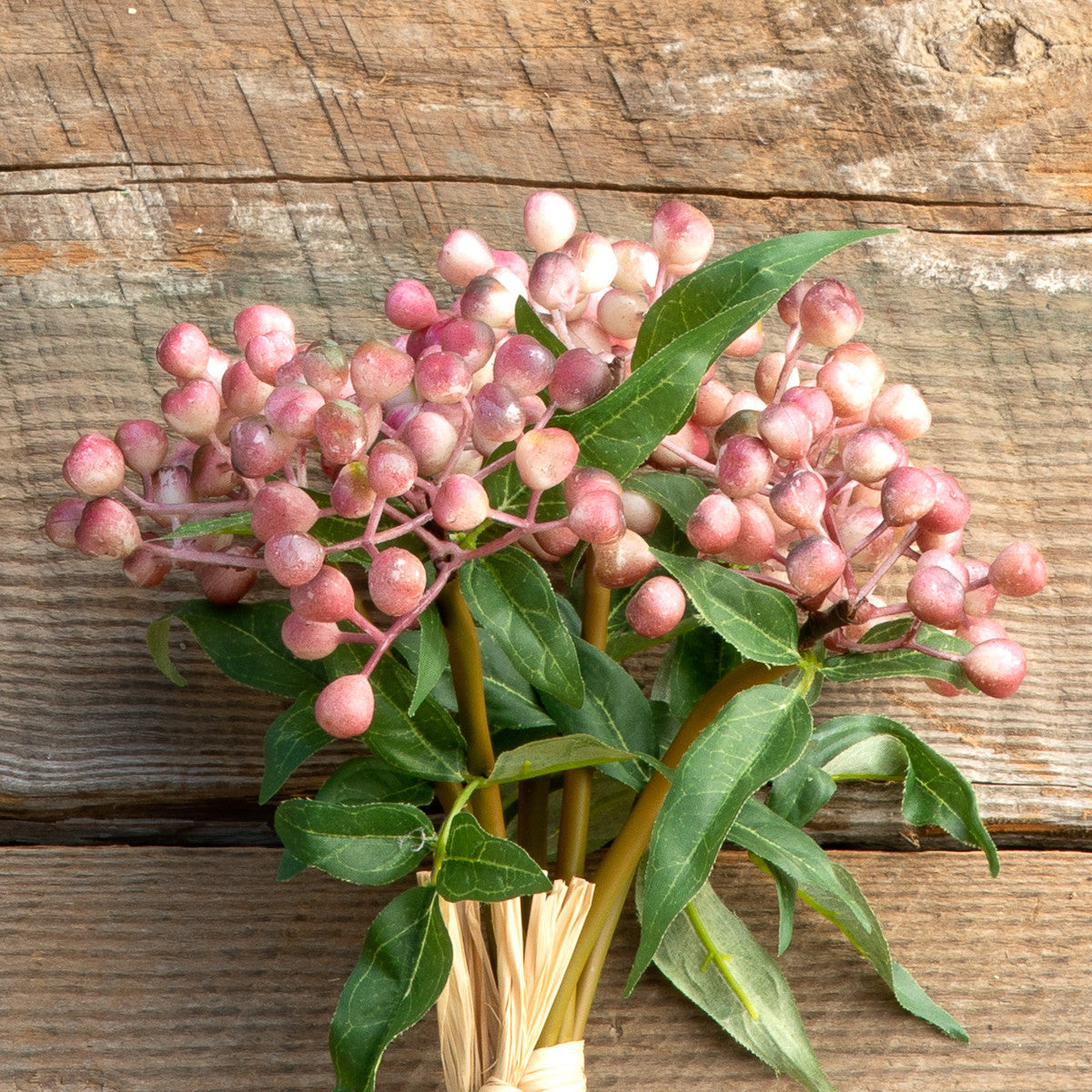 Blush Berry Bundle – The French Cottage