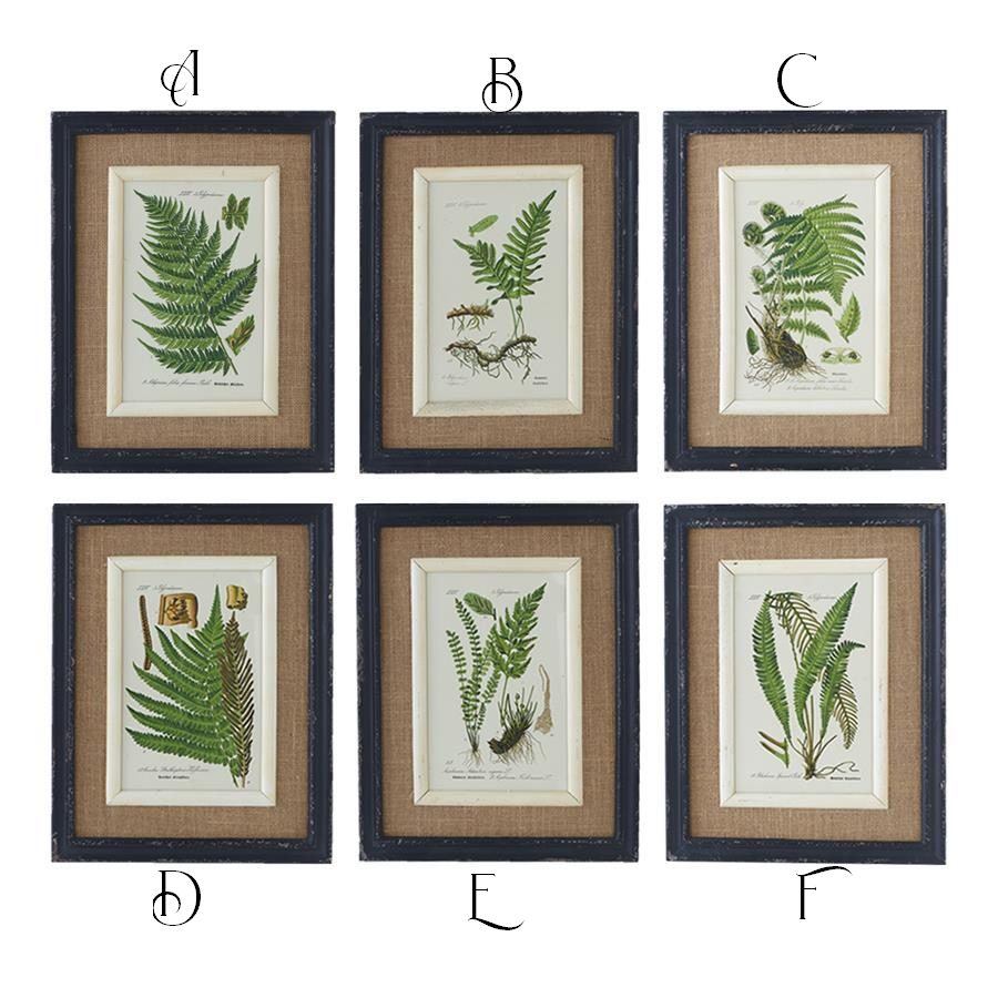 Framed Fern Print – The French Cottage