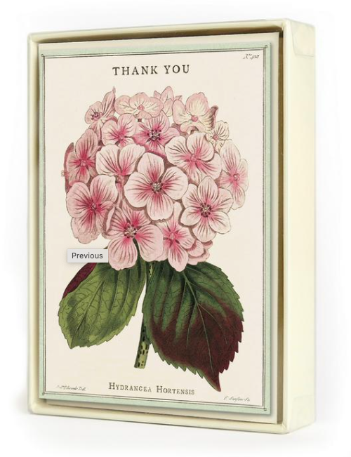 Thank You Fleur Note Cards – The French Cottage